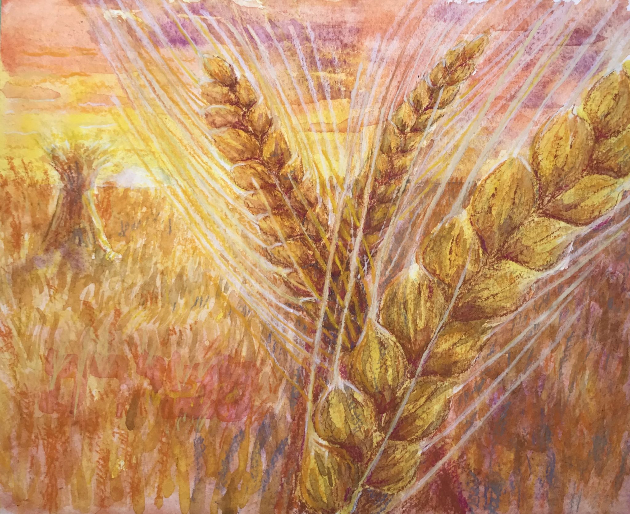 counting of the Omer – david g vogel